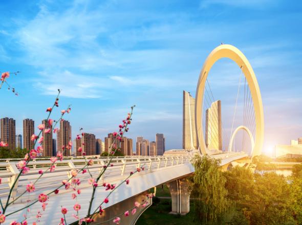 The APMG Public-Private Partnerships Certification Program